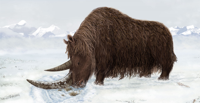 Tibet: a Homeland for Ice Age Giants | Paleontology | Sci-News.com