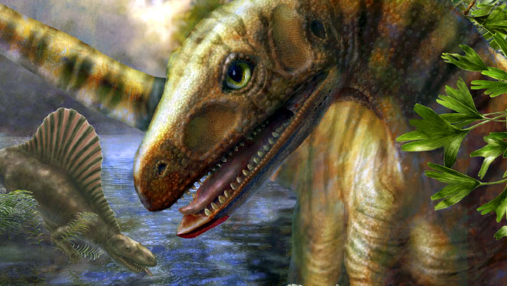 Seven Fossil-hunting Expeditions in Tanzania, Zambia Yield Surprising ...