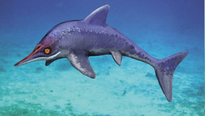 Malawania anachronus - New Ichthyosaur from Iraq was Living Fossil of ...