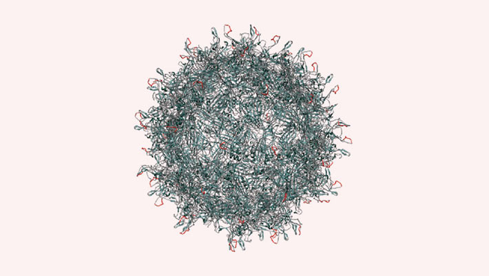 Scientists Use New Engineered Virus to Restore Sight | Medicine | Sci ...