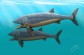 Leedsichthys, Biggest Fish Ever, Could Grow More Than 50 Feet Long ...