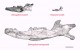 Deinogalerix masinii: New Giant Fossil Hedgehog from Italy ...