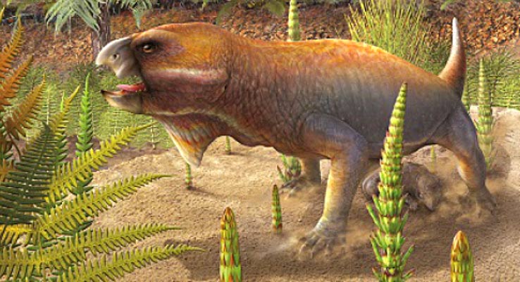 Niassodon mfumukasi: Fossil of New Mammal-Like Reptile Found in ...