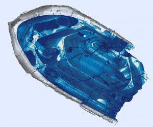 Jack Hills Zircon: Scientists Discover Oldest-Known Fragment of Earth ...