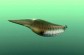 505-Million-Year-Old Fish Fossils Shed Light on Origin of Jaws | Sci.News
