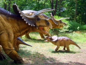 Research Provides New Insights into Evolution of Triceratops | Sci.News