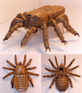 Paleontologists Recreate Walking Gait of 410-Million-Year-Old Spider ...