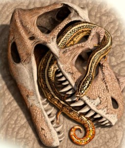 Paleontologists Find World's Oldest Known Snake Fossils | Paleontology ...