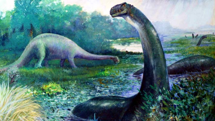 Brontosaurus: Paleontologists Resurrect Forgotten Dinosaur Genus ...