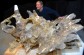 Regaliceratops peterhewsi: New Horned Dinosaur Discovered in Canada ...