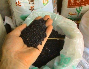 Genetic Researchers Solve Mystery of Black Rice | Sci.News