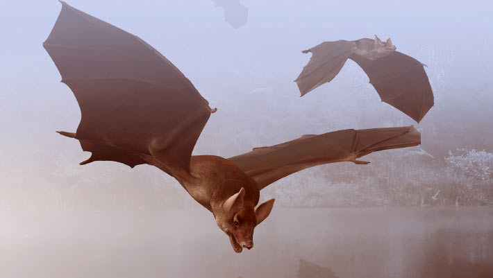 Paleontologists Determine Original Color of Extinct Bats | Paleontology ...