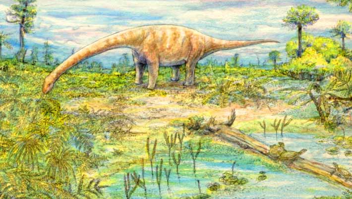 Sarmientosaurus musacchioi: New Titanosaur Species Discovered in ...