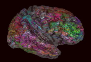 Researchers Create Detailed ‘Semantic Atlas’ of the Mind | Sci.News