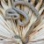 Silver Boa: Scientists Discover New Snake Species in Bahamas | Biology ...