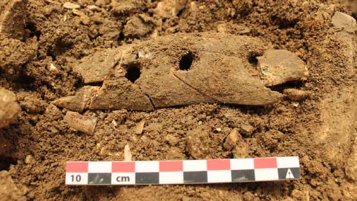 Archaeologists Find 40,000-Year-Old Rope-Making Tool in Germany | Sci.News