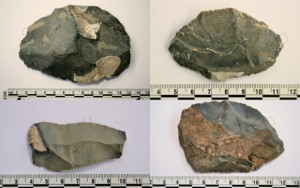 Hominins Used Stone Tools to Butcher Rhinos, Other Animals 250,000 ...