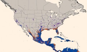 New Map Predicts Spread of Zika Virus | Sci.News