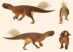 Psittacosaurus Had Countershading Camouflage, Paleontologists Say | Sci ...