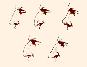 Study: Climate Shaped Human Nose | Sci.News