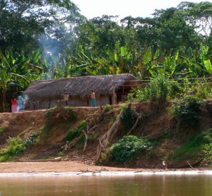 Bolivian Tsimane People Have World’s Healthiest Arteries, Study Says ...