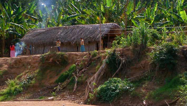 Bolivian Tsimane People Have World’s Healthiest Arteries, Study Says ...