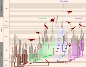 Paleontologists Redraw Dinosaur Family Tree | Paleontology | Sci-News.com