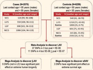 Geneticists Identify New Extreme Longevity Variants | Sci.News