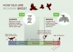 Dino-Killing Mass Extinction Boosted Bird Evolution, Study Says | Sci.News