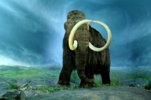 Study: Short-Term or Catastrophic Events Caused Extinction of Wrangel ...