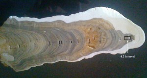 Meghalayan: Collapse of Ancient Agricultural Civilizations Defines ...