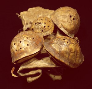 North American Indigenous Peoples Used Turtle Shells as Symbolic ...