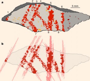 Earliest Known Drawing by Human Discovered in South Africa ...