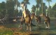 New Dinosaur Species Discovered in Australia: Weewarrasaurus pobeni ...