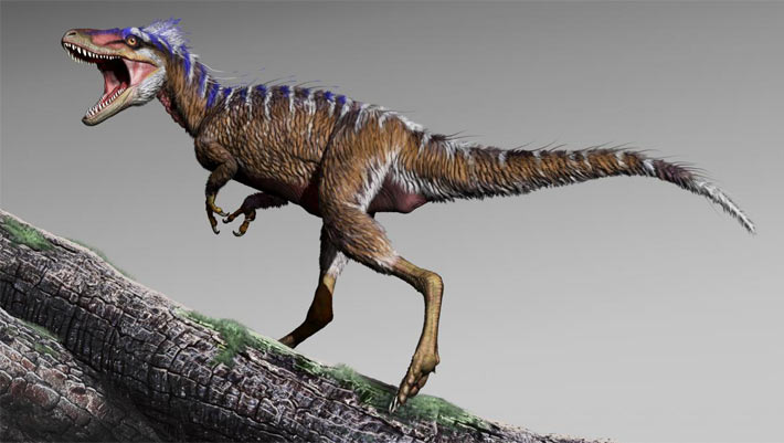 Moros intrepidus: New Deer-Sized Species of Tyrannosaur Discovered ...