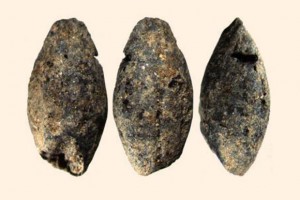 Maritime Hunter-Gatherers in Northern Europe Were Growing Wheat and ...