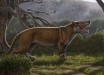 Carnivorous Mammal Larger than Polar Bear Once Roamed Kenya ...
