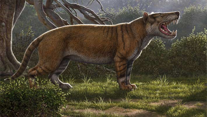 Carnivorous Mammal Larger than Polar Bear Once Roamed Kenya ...