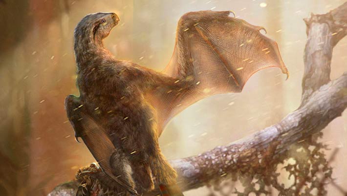 Membrane-Winged Dinosaurs Yi and Ambopteryx were Poor Gliders | Sci.News