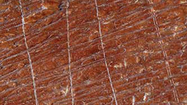 115,000-Year-Old Engraved Bones Found in China | Archaeology ...