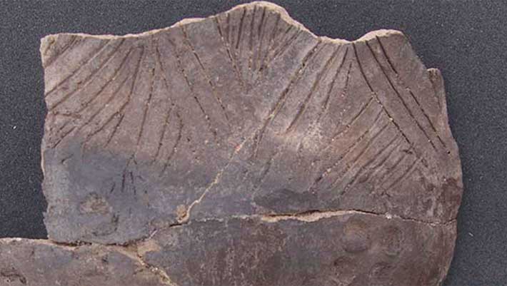 6,500-Year-Old Pottery Fragments Found in Ecuador | Archaeology | Sci ...