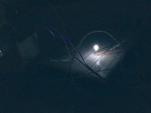 Thermoelectric Device Generates Light from ‘Darkness of Space’ | Sci.News