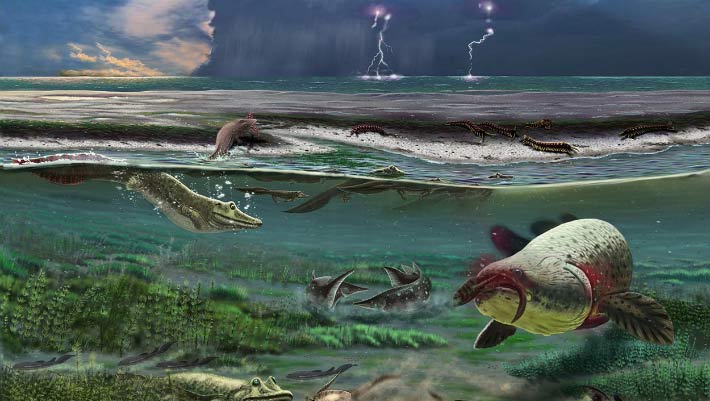 Devonian Tetrapod Had Crocodile-Like Lifestyle | Paleontology | Sci ...