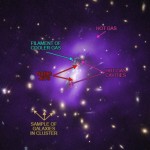 Enormous Black Hole Boosts Star Formation in Phoenix Galaxy Cluster ...