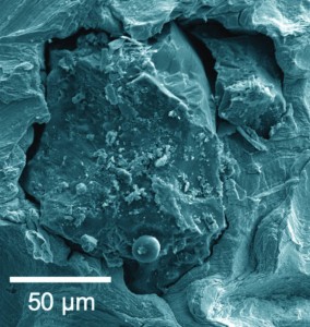 Researchers Find New Way to Analyze Chemistry of Lunar Soil | Sci.News