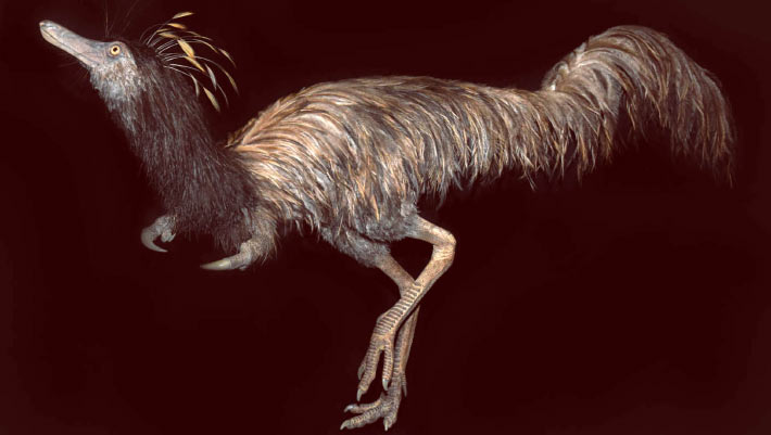 New Species of Hook-Handed Dinosaur Uncovered in Montana | Paleontology ...