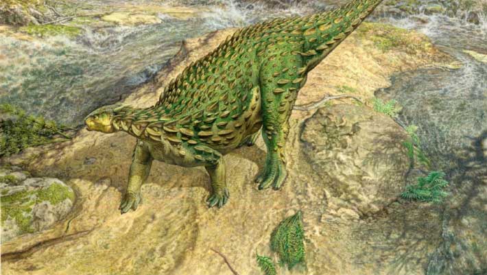 Paleontologists Find First Dinosaur Remains in Ireland | Sci.News