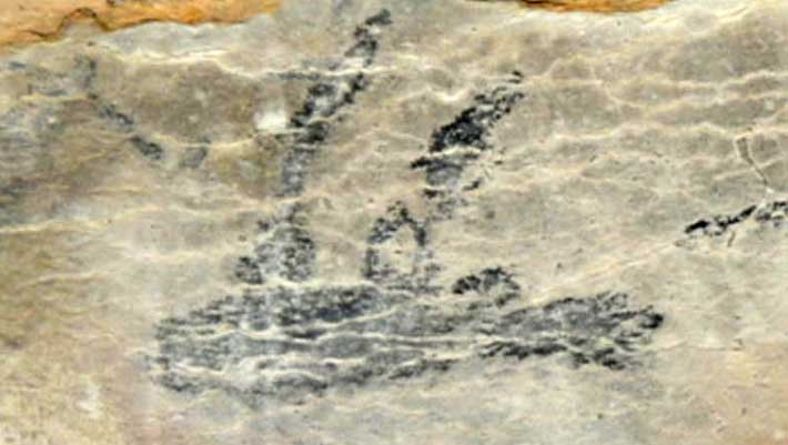 Researchers Find Unique Ancient Rock Drawing of Extinct Sloth Lemur ...