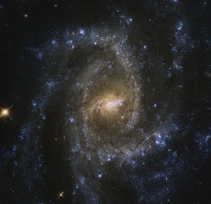 Hubble Sees Stunning Face-On Spiral Galaxy: NGC 2835 | Sci.News