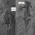 Middle Triassic Nothosaur Had Built-In Float | Sci.News